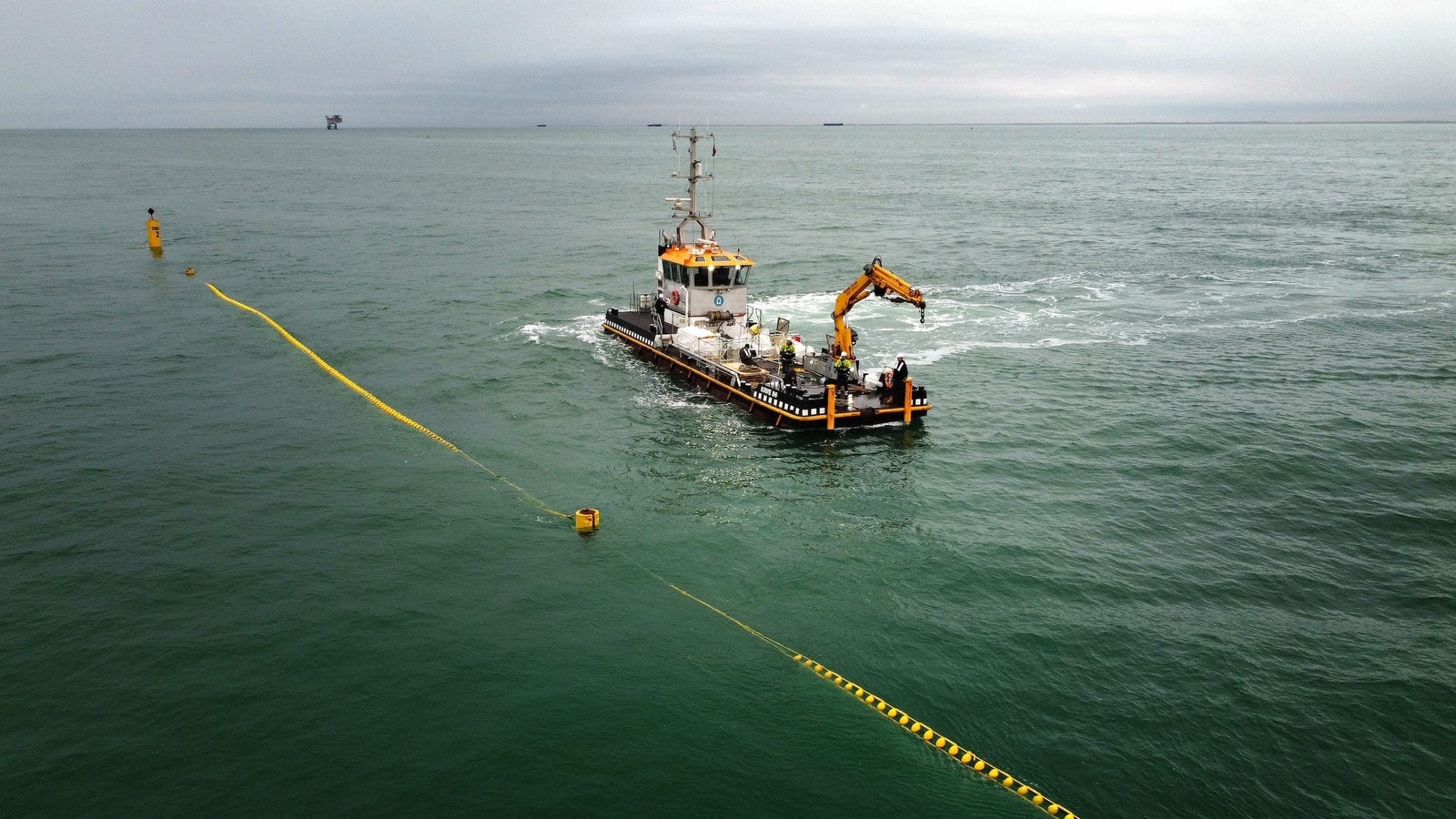 The Seaweed Company |Capturing the value of seaweed