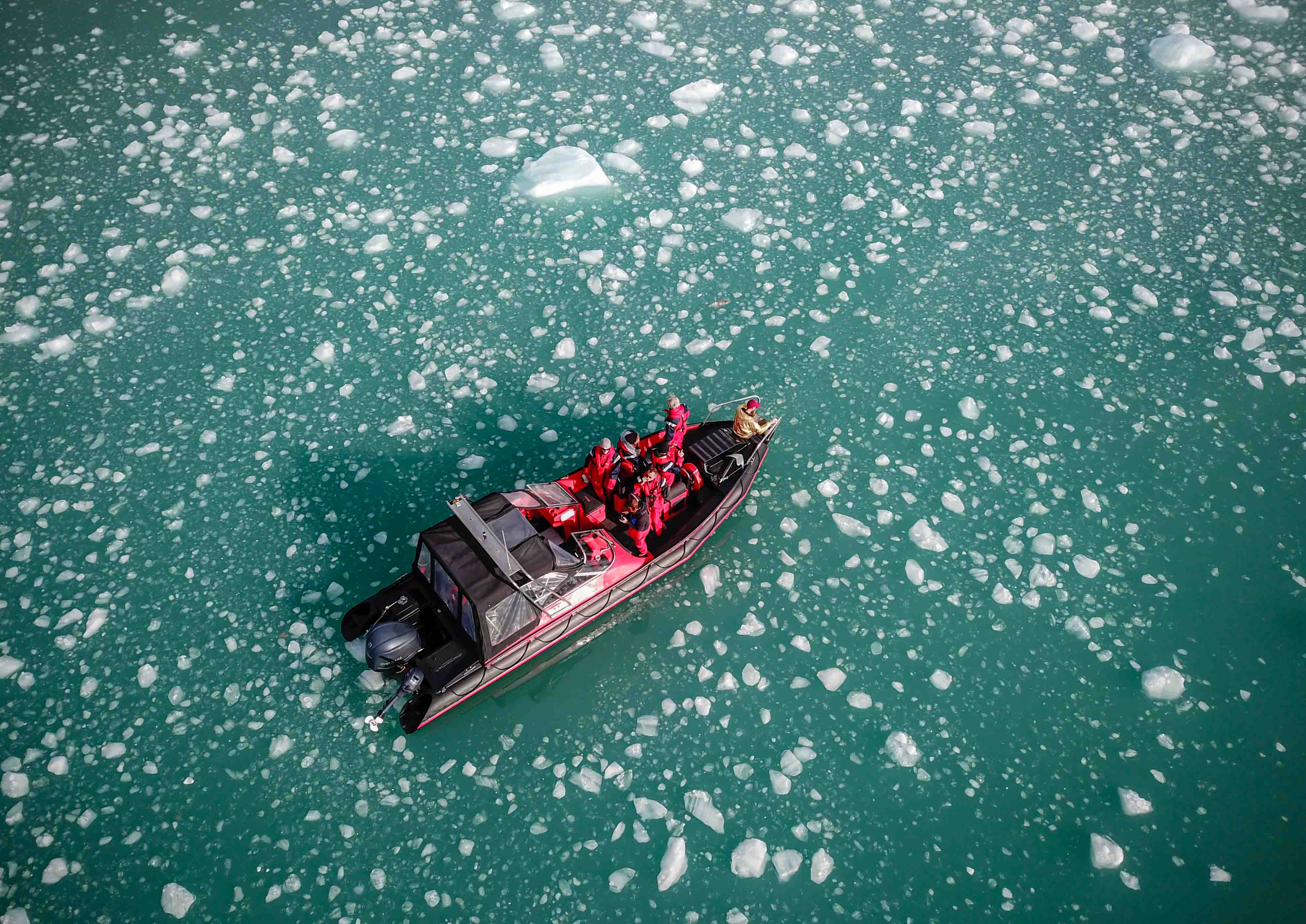 Isfjord Safari | Poli Arctici