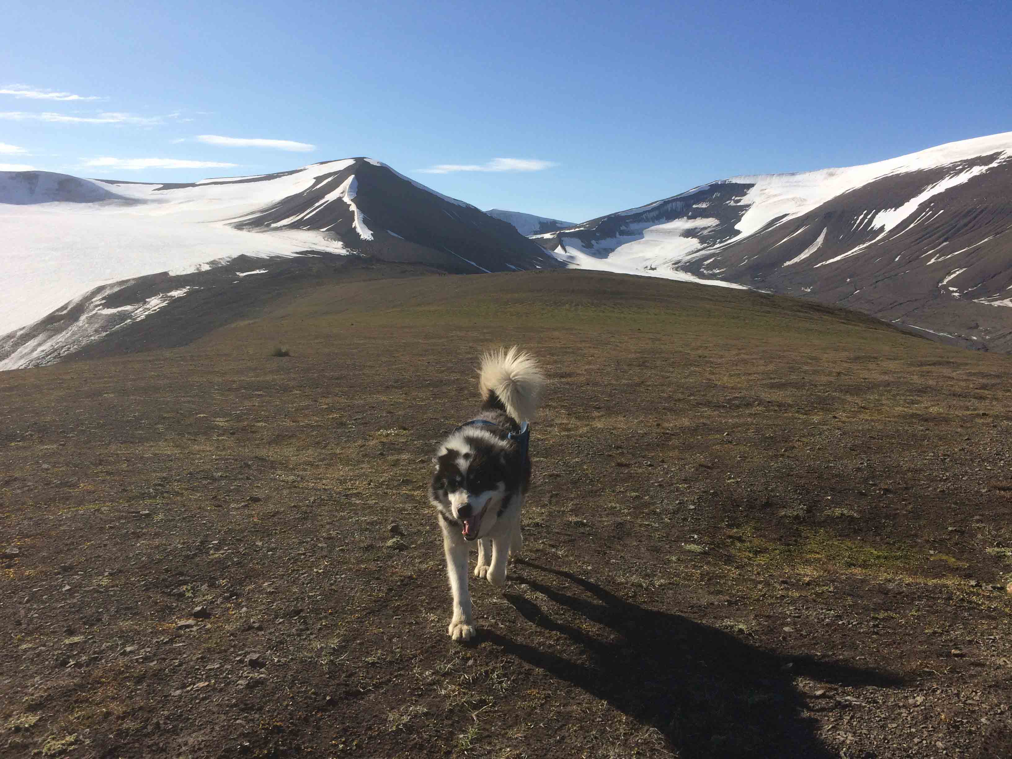 Sarkofagen Trekking | Poli Arctici