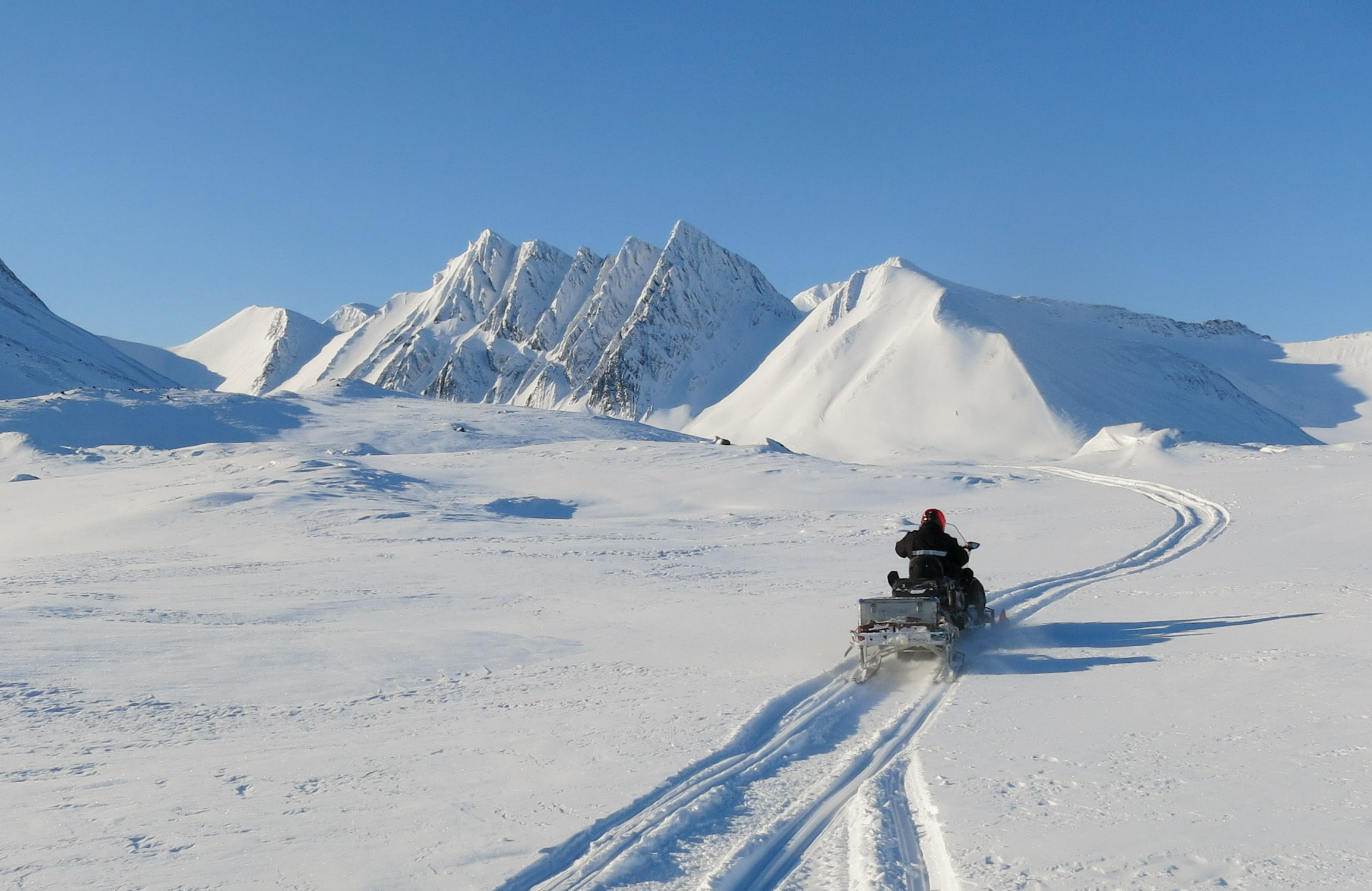 Svalbard Discovery | Poli Arctici