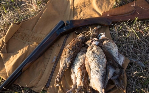 Covey Rise Lodge | Duck Hunting & Cabin Rentals in Louisiana