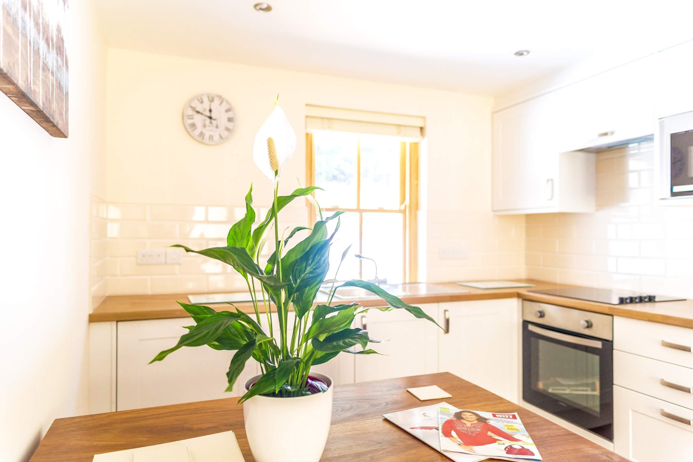 Ian Heaps Fishing Resort Still Water Accomodation