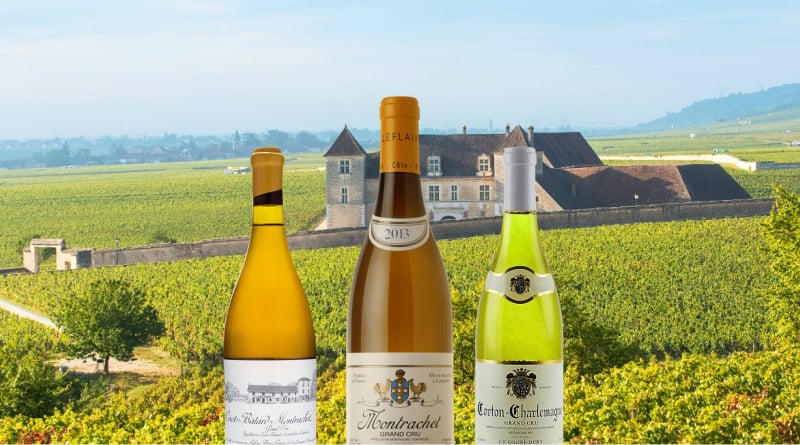 White Burgundy Wine (Types, Prices, Best Wines to Buy in 2020)