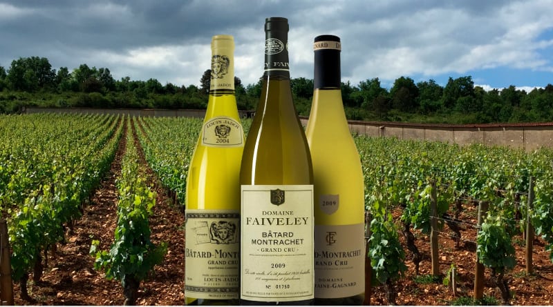 Montrachet Wine (Best Wines, Prices & How to Buy)