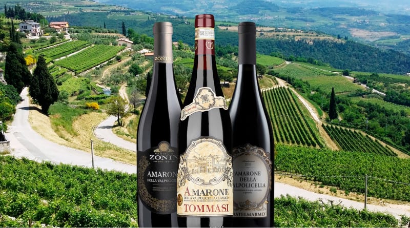 Amarone Della Valpolicella (Winemaking, Best Wines, Prices 2020)