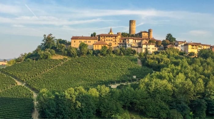 Barolo Wine (Taste, Prices, and Best Wines in 2020)