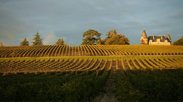 Sauternes Wine (Wine Style, Best Wines, Prices 2020)