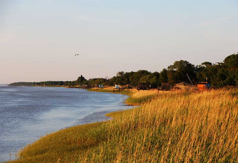 Pomerol - Wineries, Grapes, Best Wines (2021)