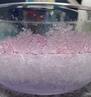 Children's Science Center