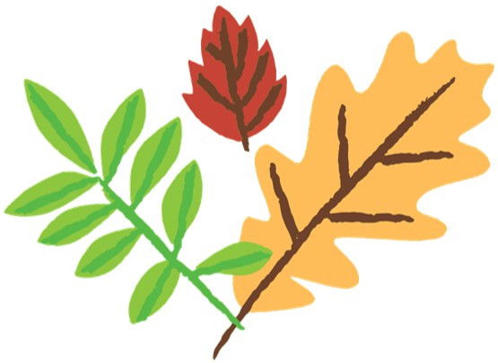 Children's Science Center