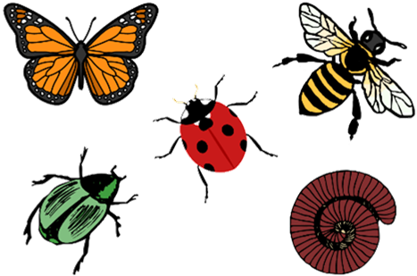 Children's Science Center