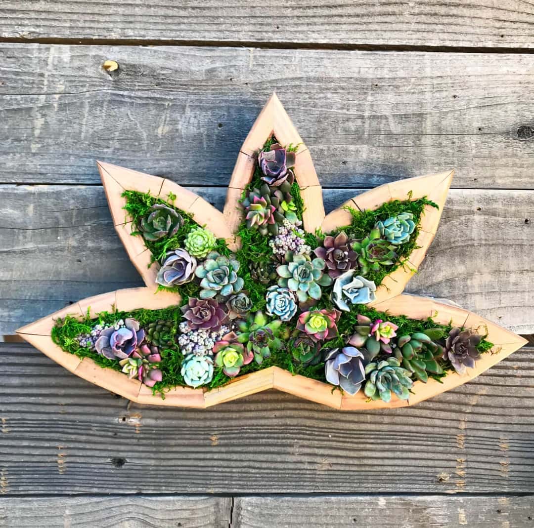 Kileen's Vertical Gardens