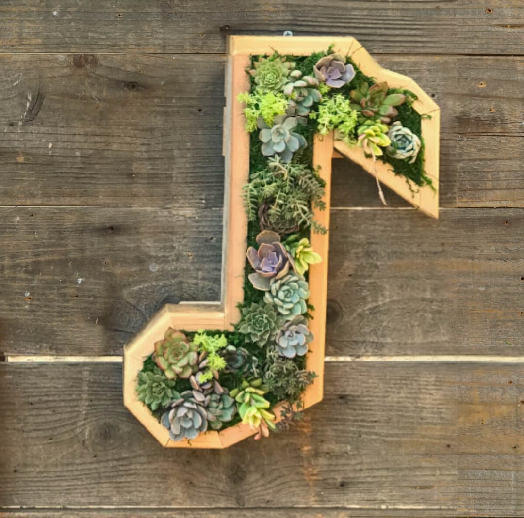 Kileen's Vertical Gardens