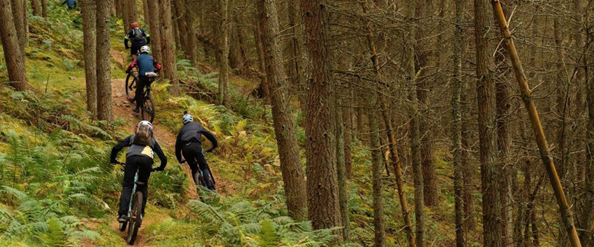 Windmill Cycle Club Special Events