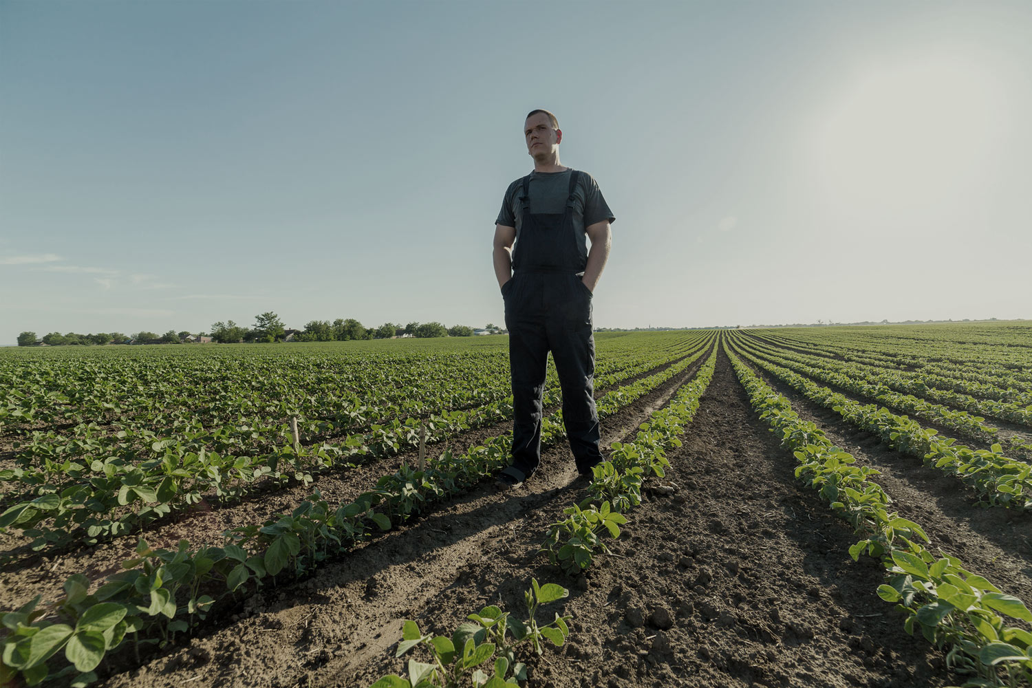 Whole Farm Revenue Protection (WFRP) - Agri-Risk Solutions