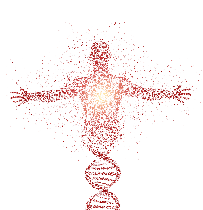 Flow Research Collective — Leading Voice In Performance