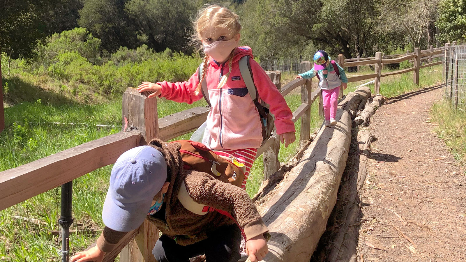 Educator Spotlight: Exploring nature with Always Learning and Growing ...