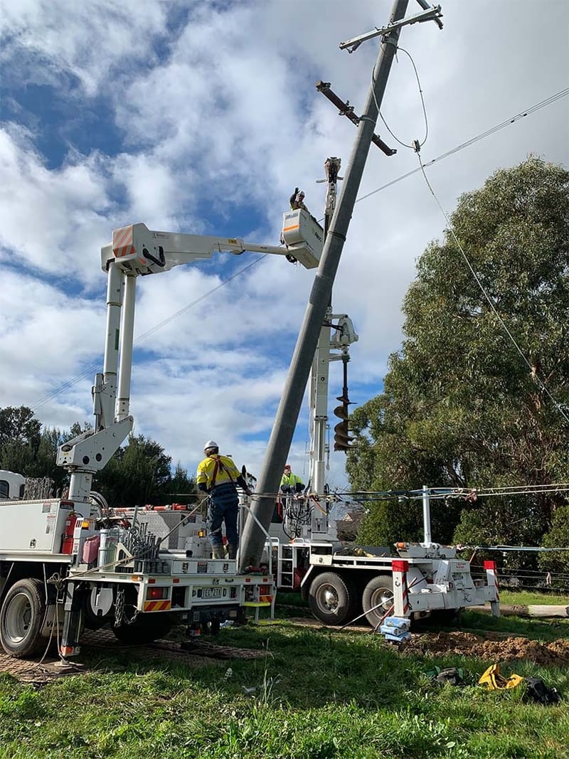 Projects | Southern Cranes