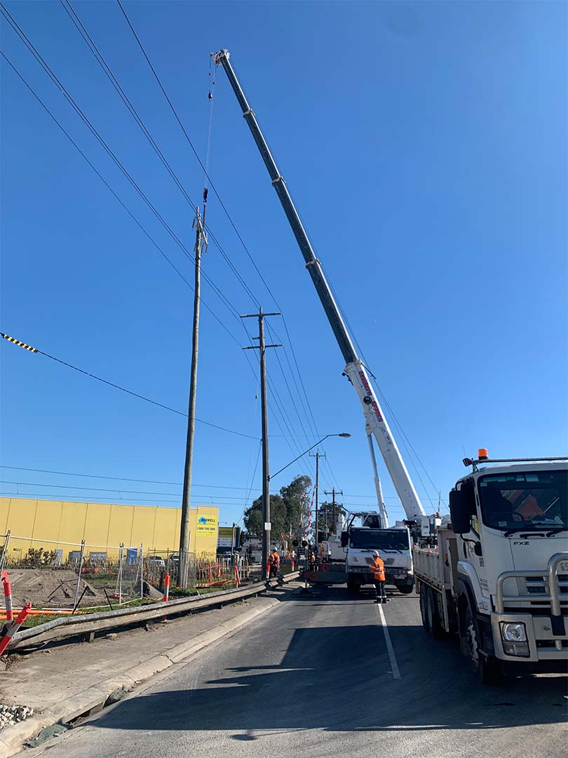 Projects | Southern Cranes