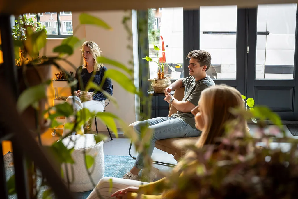 Wat is Webflow en wat kun je ermee? | Studio Flabbergasted