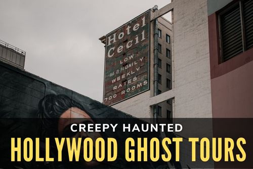 Best Ways to Get to the Hollywood Sign