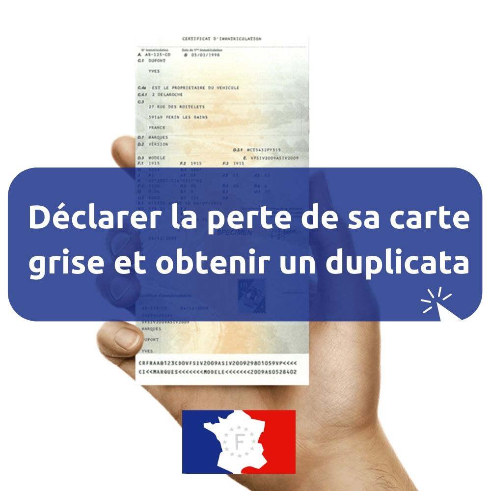 Formulaire Cerfa Déclaration de Perte de Carte dIdentité - Trello