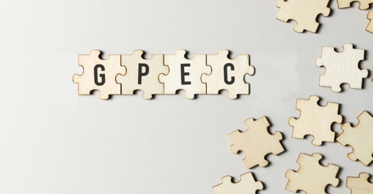 IndieGo Blog: Les enjeux de la GPEC en entreprise