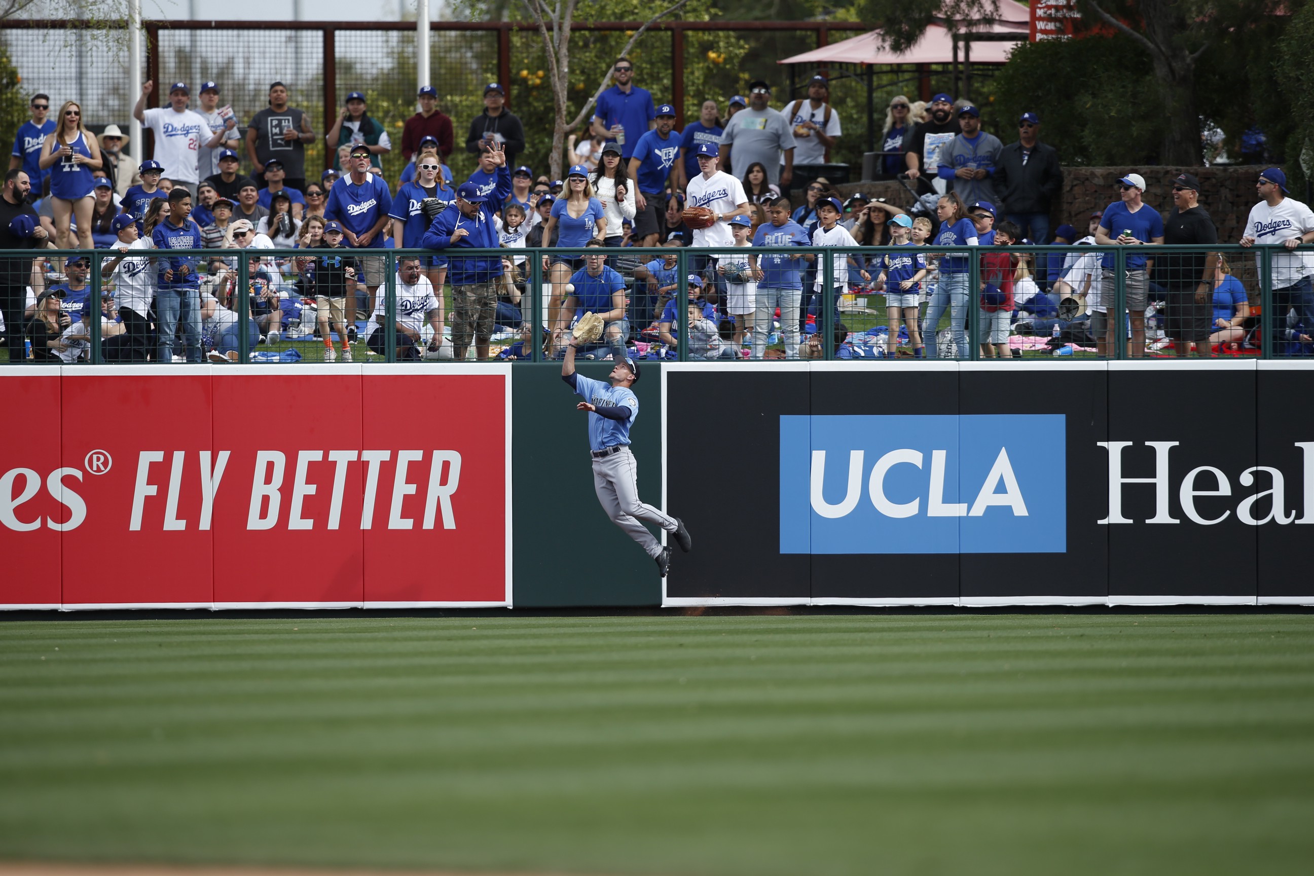 See Jarred's Flying Catch