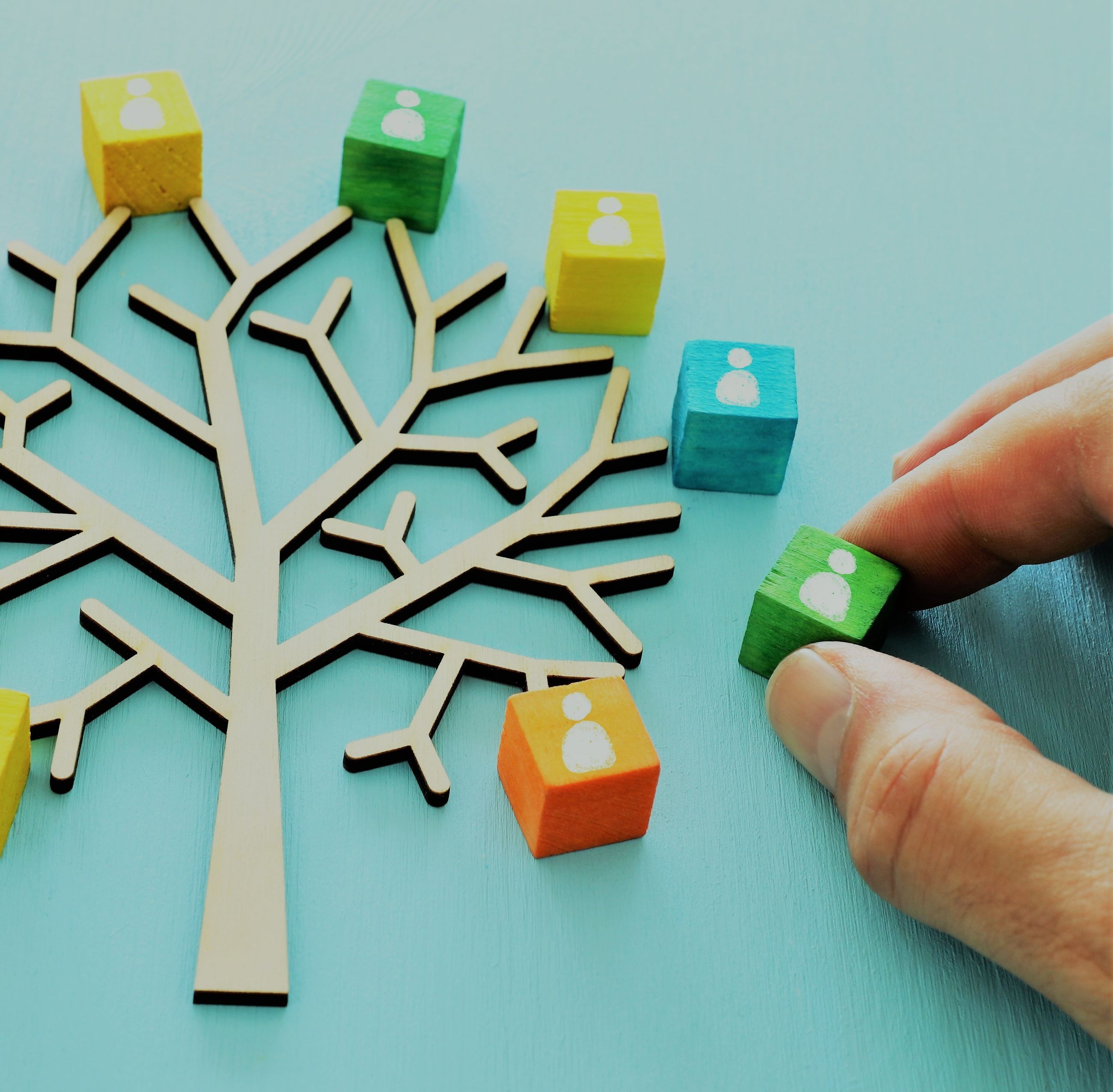 DANIELA BAUM - Beratung im Gesundheitswesen