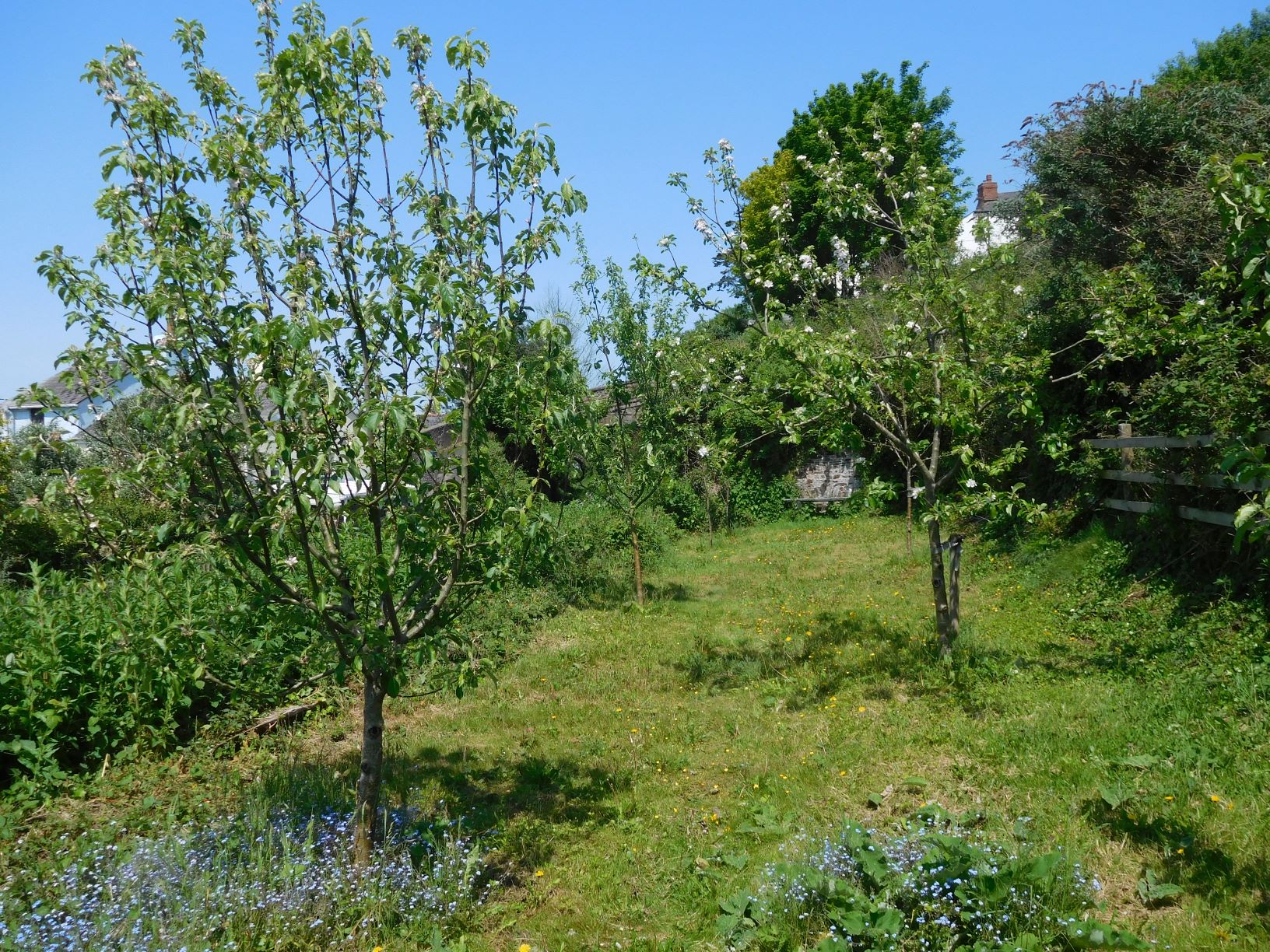 Knowledge Base: Community Orchard - North Devon Biosphere