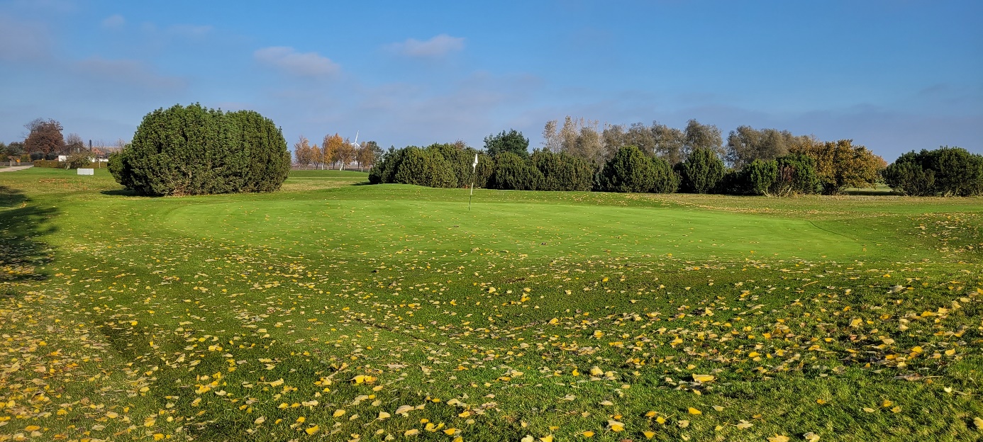 Bedinge Golfklubb