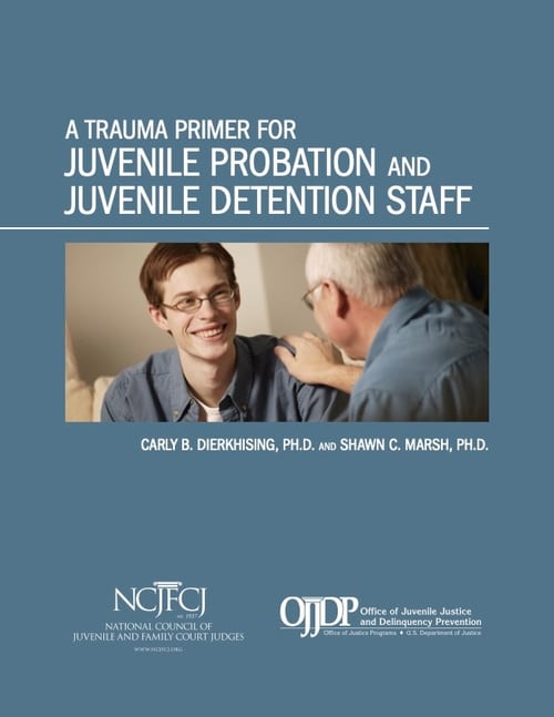 Desktop Guide to Good Juvenile Probation Practice