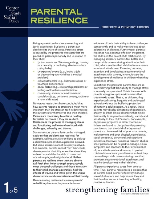Parental Resilience: Protective & Promotive Factors - Desktop Guide to ...