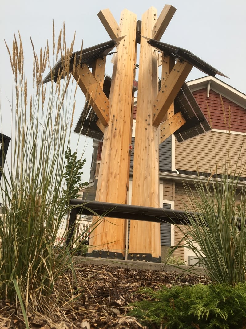 Alaskan Yellow Cedar Glulam | Western Archrib