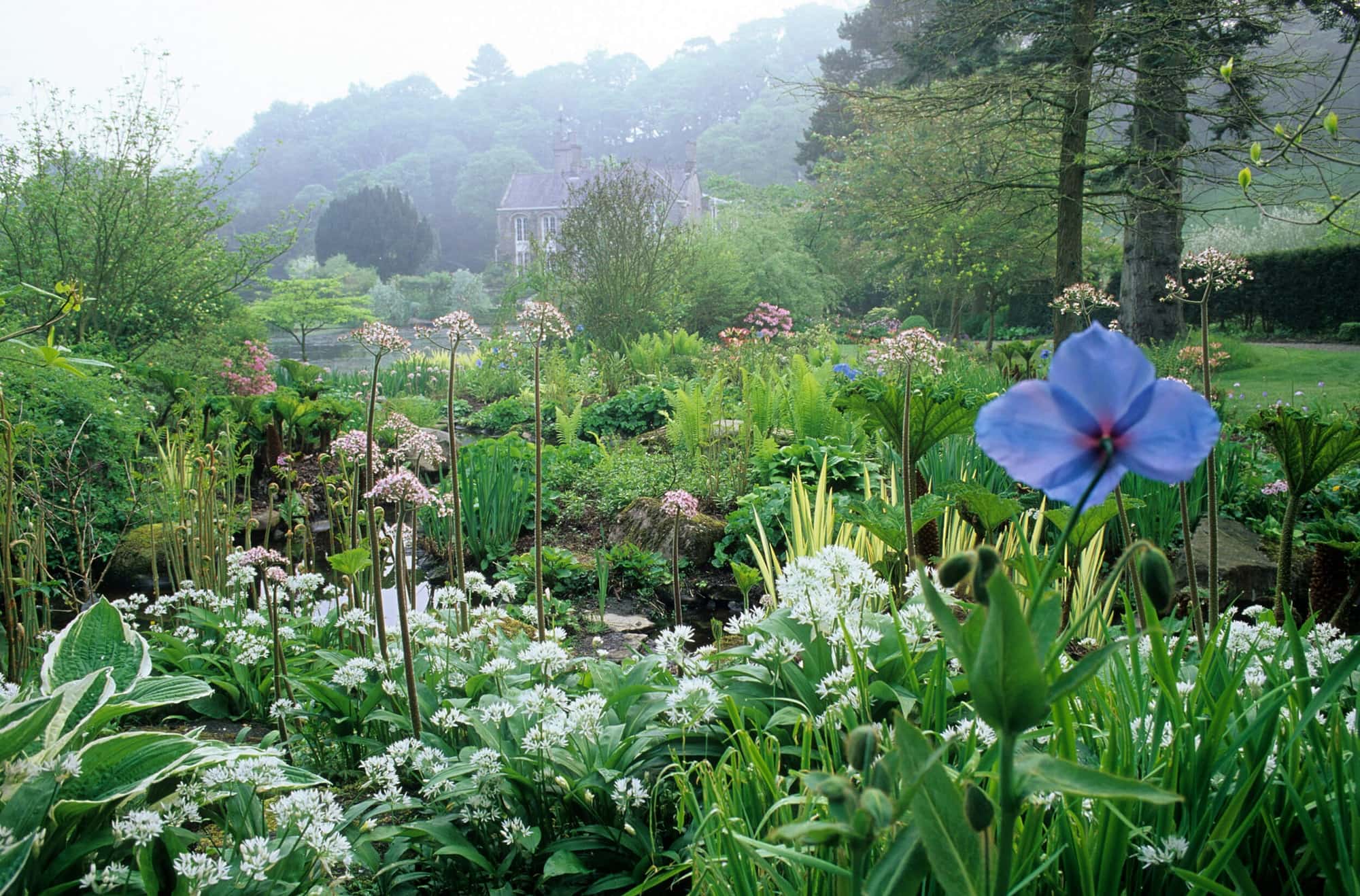 Arabella Lennox-Boyd | Gresgarth Hall