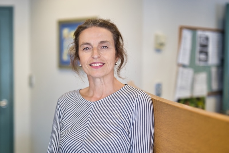 About Us Duncan Dental Elizabeth Street And 11th Ave Tauranga about-us-duncan-dental-elizabeth-street-and-11th-ave-tauranga