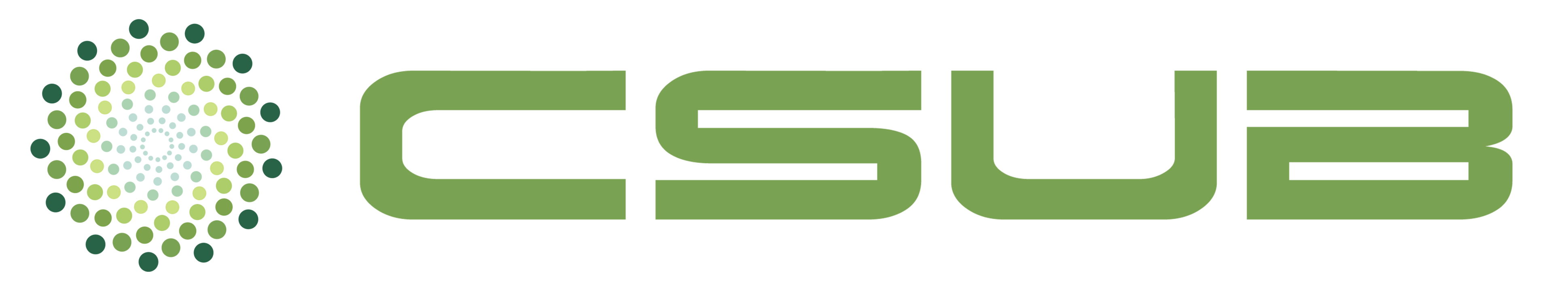 CSUB - A Leading Developer of Composite Solutions