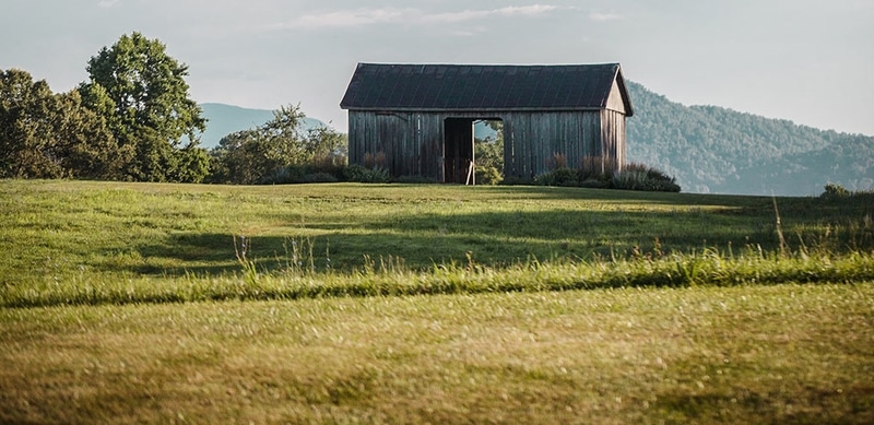 Early Mountain Vineyards: Virginia Vineyard