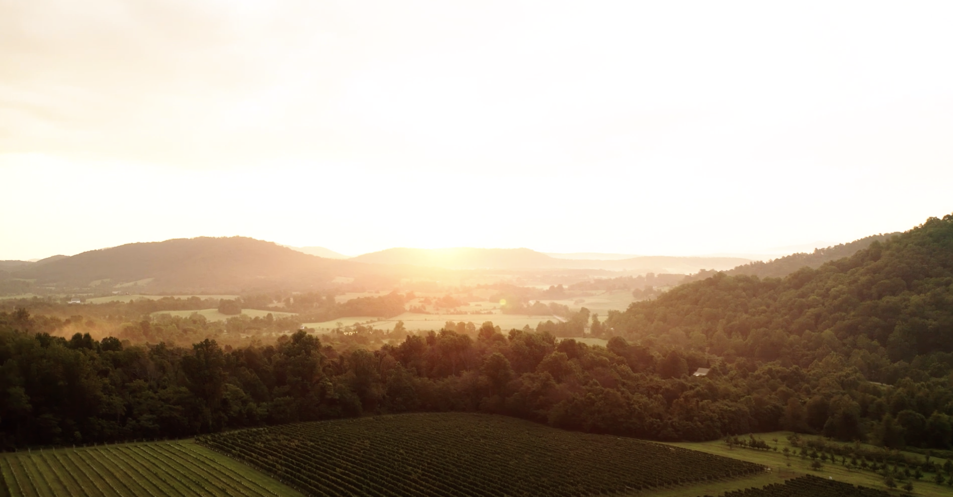 Early Mountain Vineyards: Virginia Vineyard