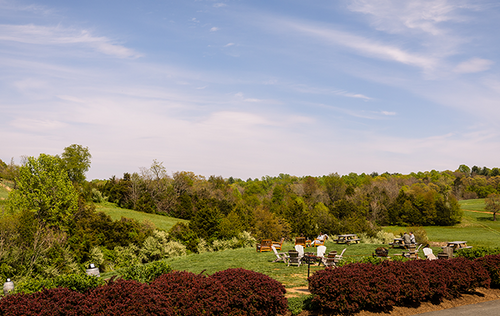 Early Mountain Vineyards: Virginia Vineyard