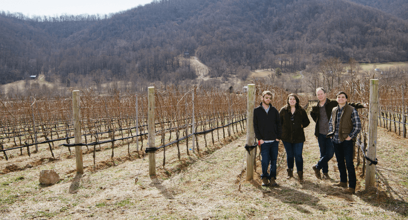 Early Mountain Vineyards: Virginia Vineyard