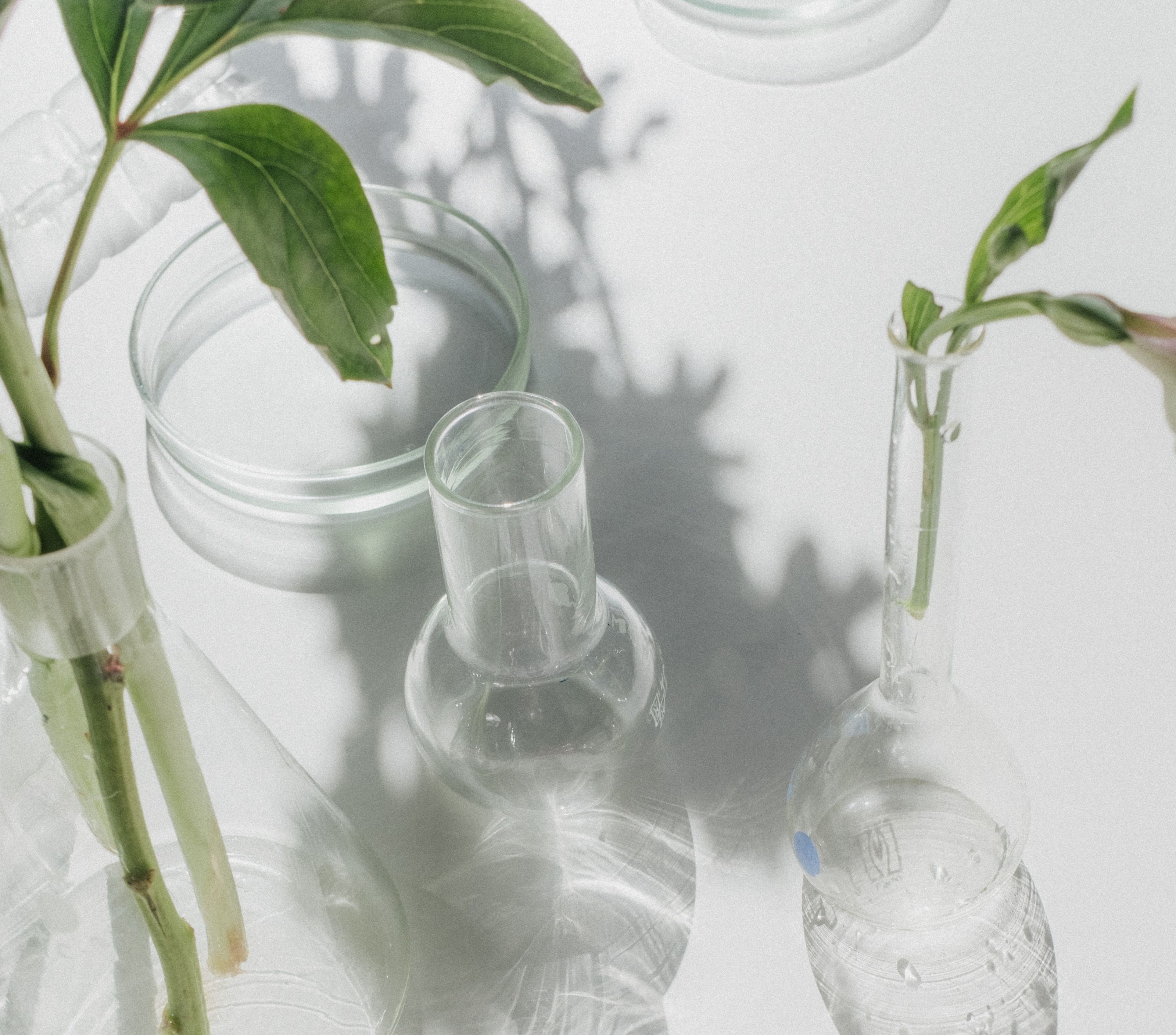 Laboratorios Dermack