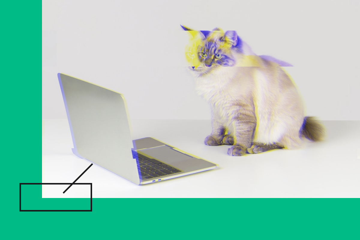 How We Conduct Usability Testing At Uptech