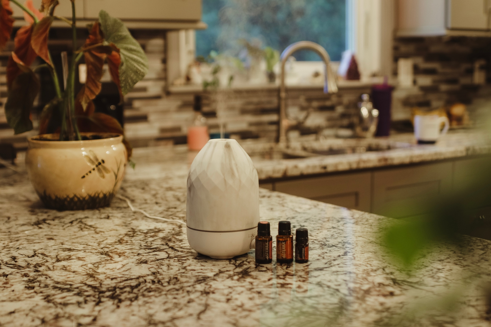 Essential Oils Business Coaching