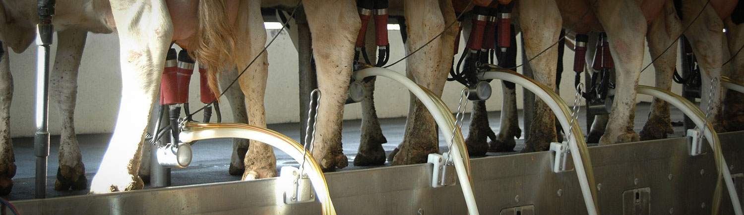 Advanced Dairy Management | Miner Institute