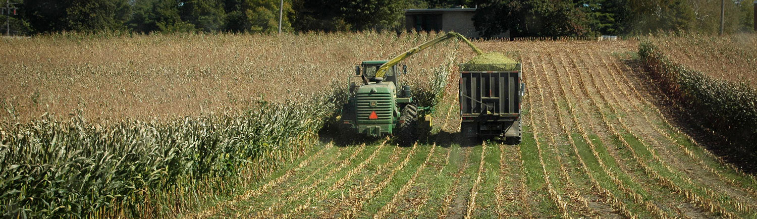 Current & Archived Farm Reports | Miner Institute