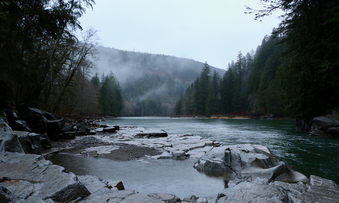 Millennial Bait Co. | Fresh Cured Prawn & Coon Shrimp