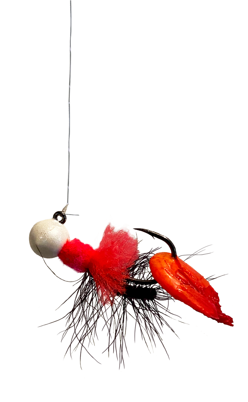 Millennial Bait Co. | Fresh Cured Prawn & Coon Shrimp