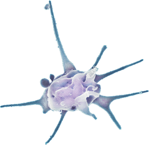 Cellphire Therapeutics