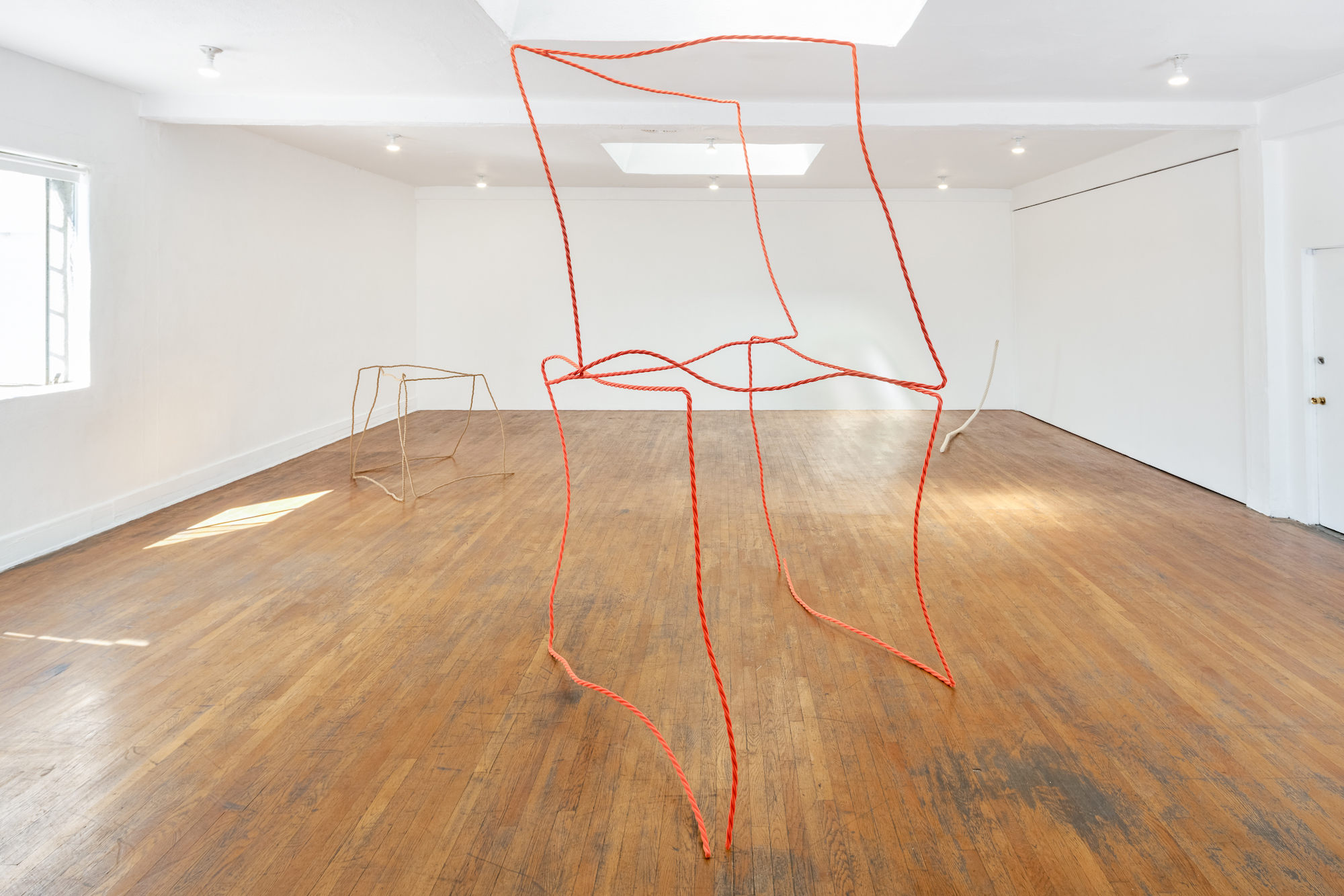 Michelle Lopez: News